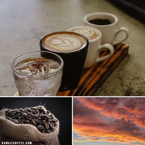 10 Places To Get Your Coffee Buzz On - Hawaii Coffee